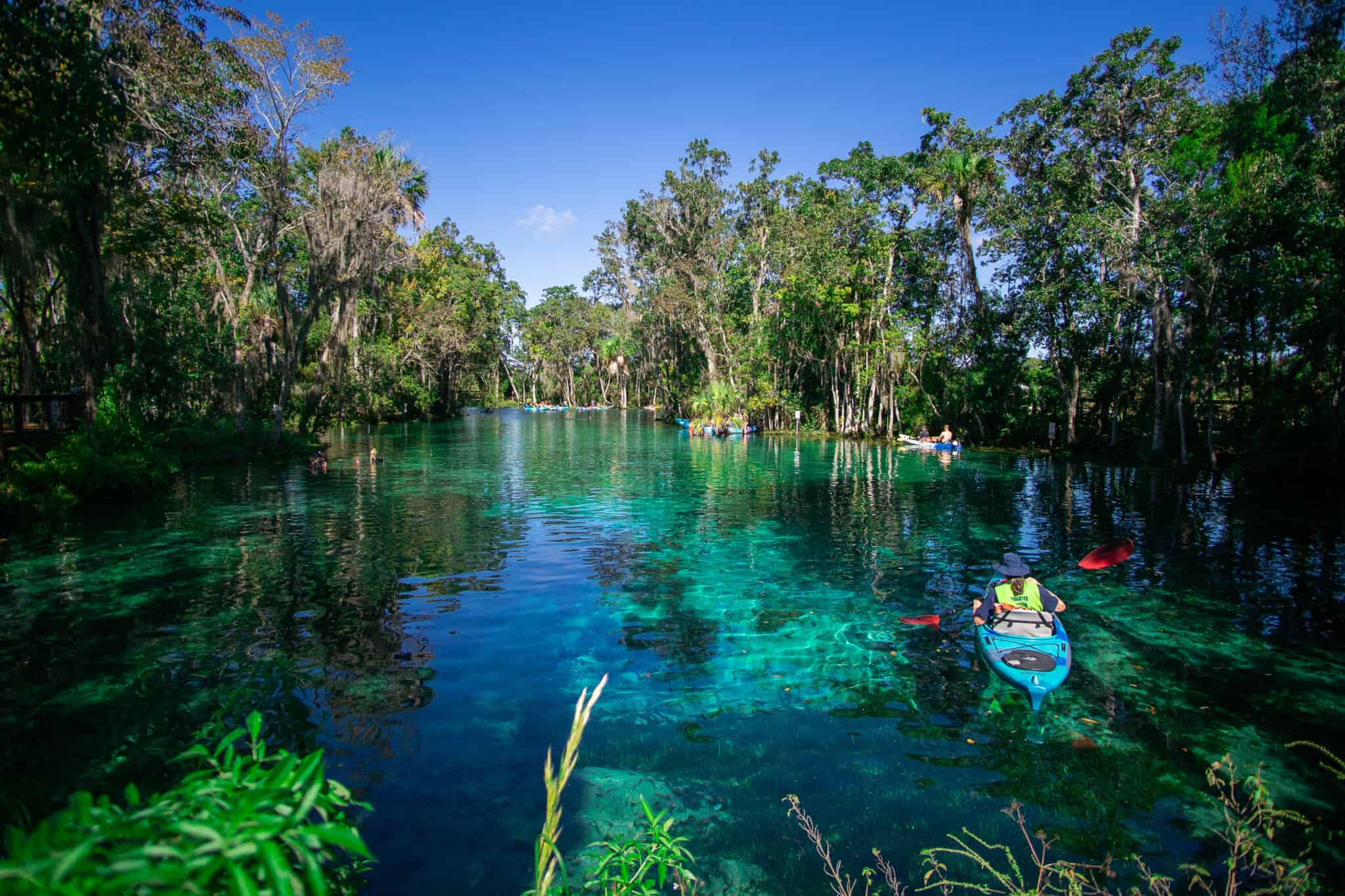 Crystal River Adventures: Manatees, Kayaking, and More!